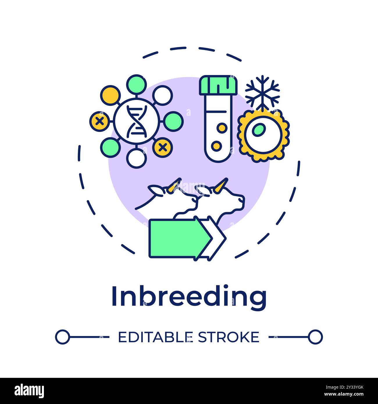 Inbreeding hi-res stock photography and images - Alamy