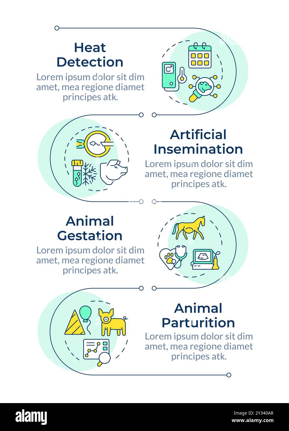 Animal reproduction infographic vertical sequence Stock Vector Image ...