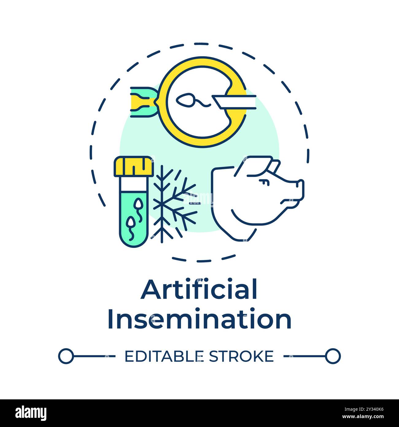 Artificial insemination animal hi-res stock photography and images - Alamy