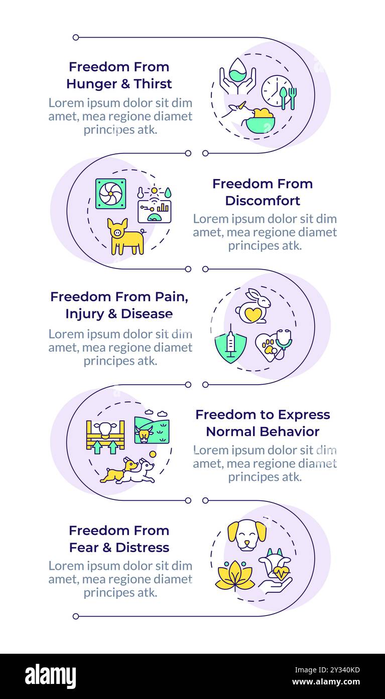 Five animal freedoms infographic vertical sequence Stock Vector Image ...