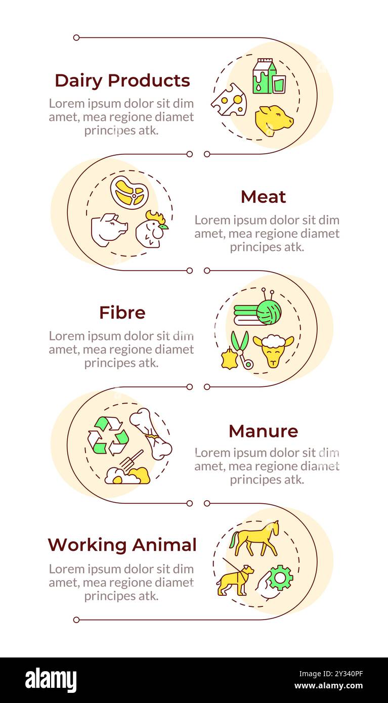 Animal production infographic vertical sequence Stock Vector Image ...