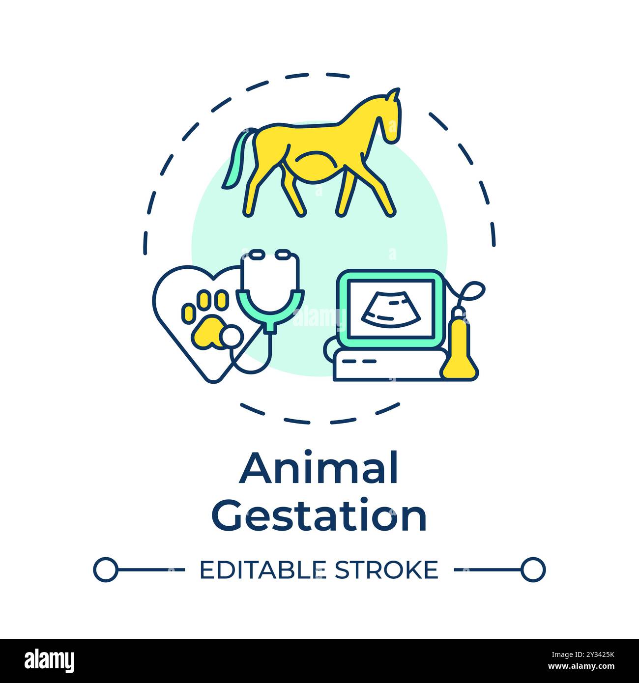Animal gestation multi color concept icon Stock Vector Image & Art - Alamy