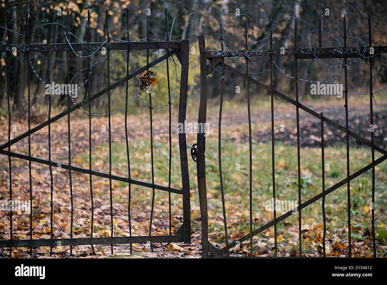 A metal gate with a broken section, surrounded by autumn leaves and a ...