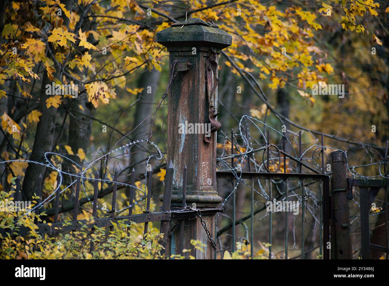 Sense of decay hi-res stock photography and images - Alamy
