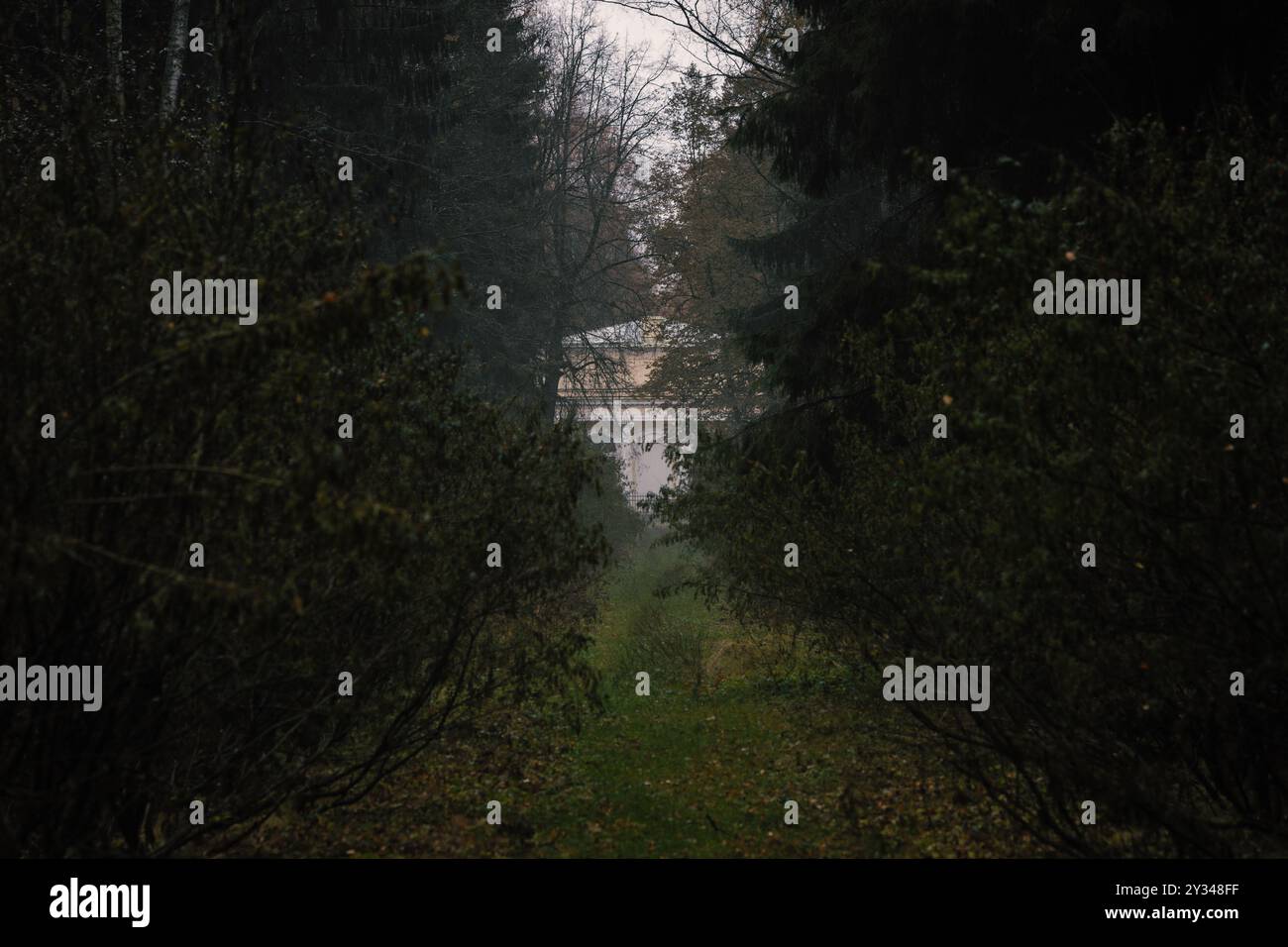 Old building partially obscured hi-res stock photography and images - Alamy