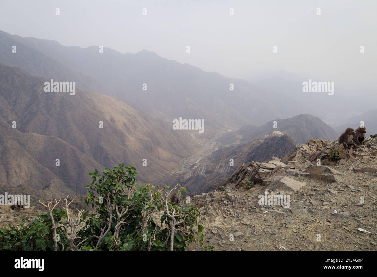 Abha , Saudi Arabia Jul 6 2022: Beautiful tourist places in Abha city ...