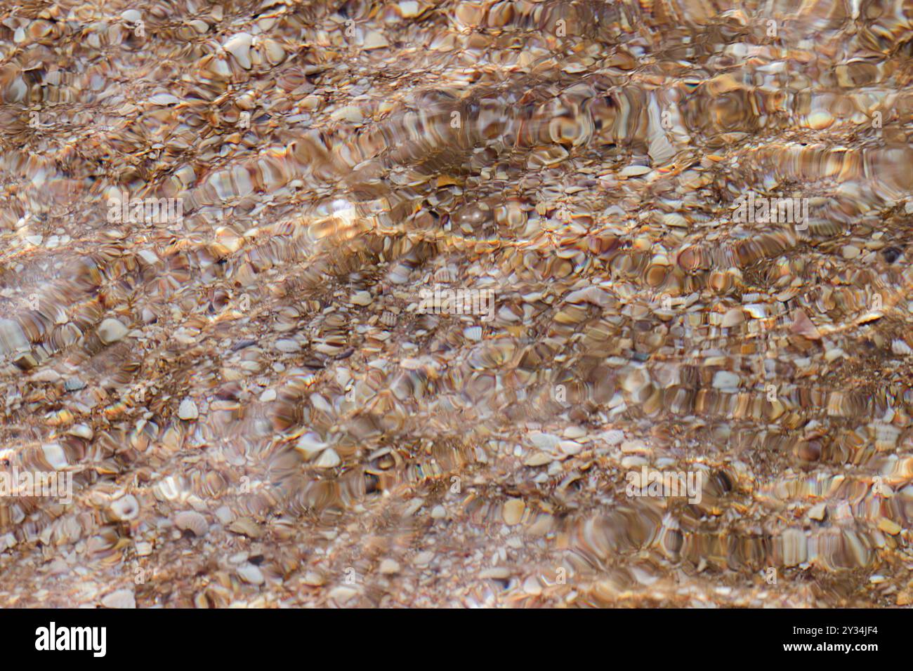 Bottom of shell hi-res stock photography and images - Alamy