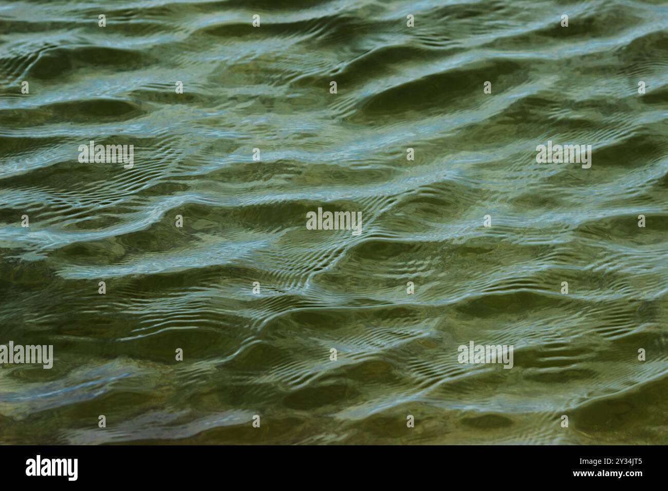 Ripple on the surface of the green water. Calm meditative nature ...