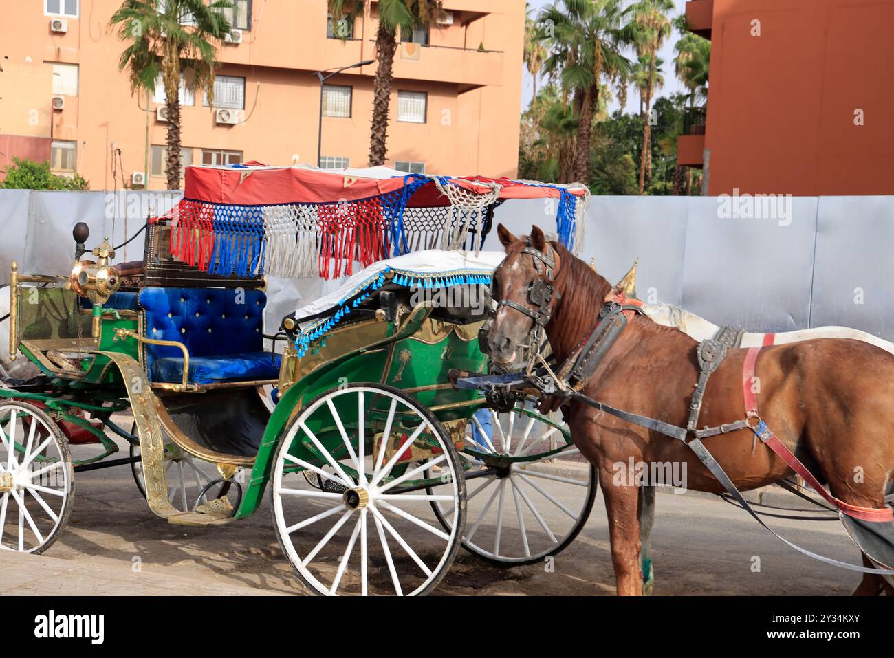Horse-drawn carriages are used to tour the city of Marrakech, a tourist ...