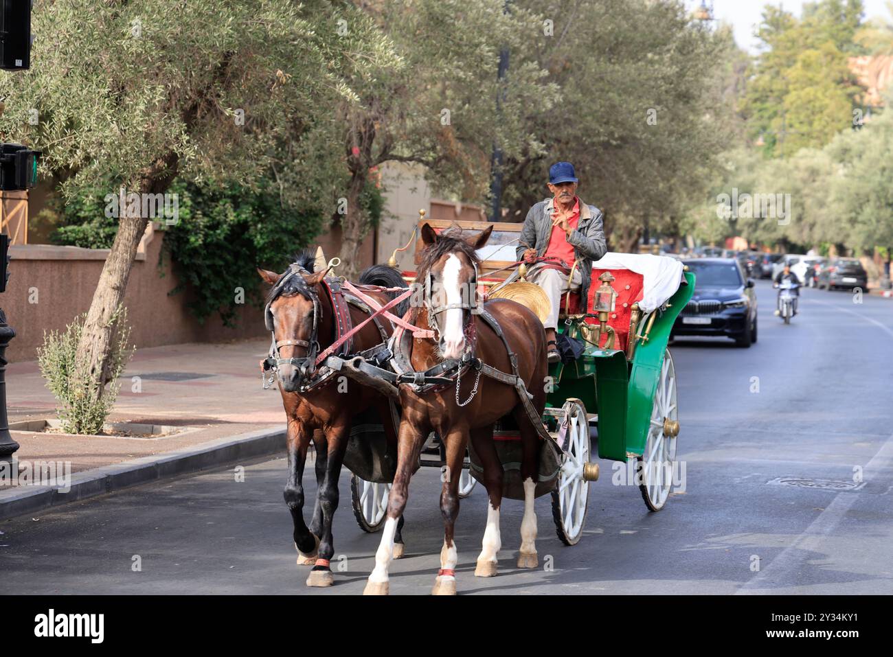 Horse-drawn carriages are used to tour the city of Marrakech, a tourist ...
