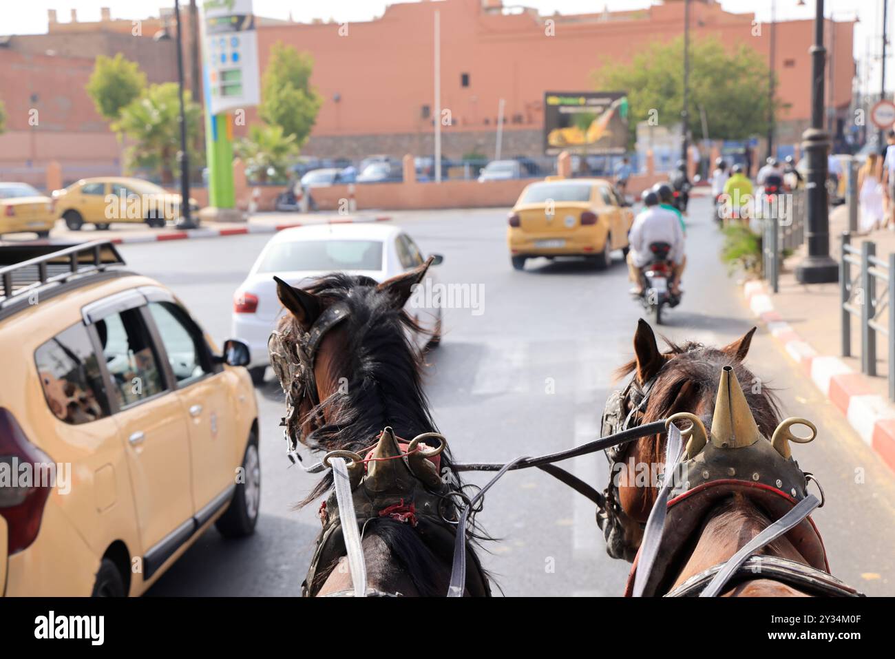 Horse-drawn carriages are used to tour the city of Marrakech, a tourist ...