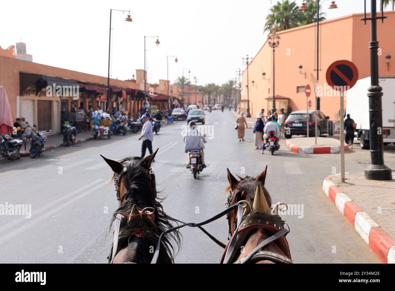Horse-drawn carriages are used to tour the city of Marrakech, a tourist ...