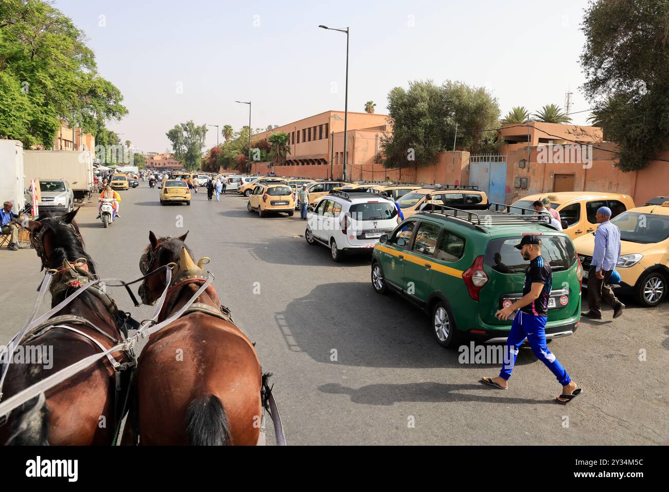 Horse-drawn carriages are used to tour the city of Marrakech, a tourist ...