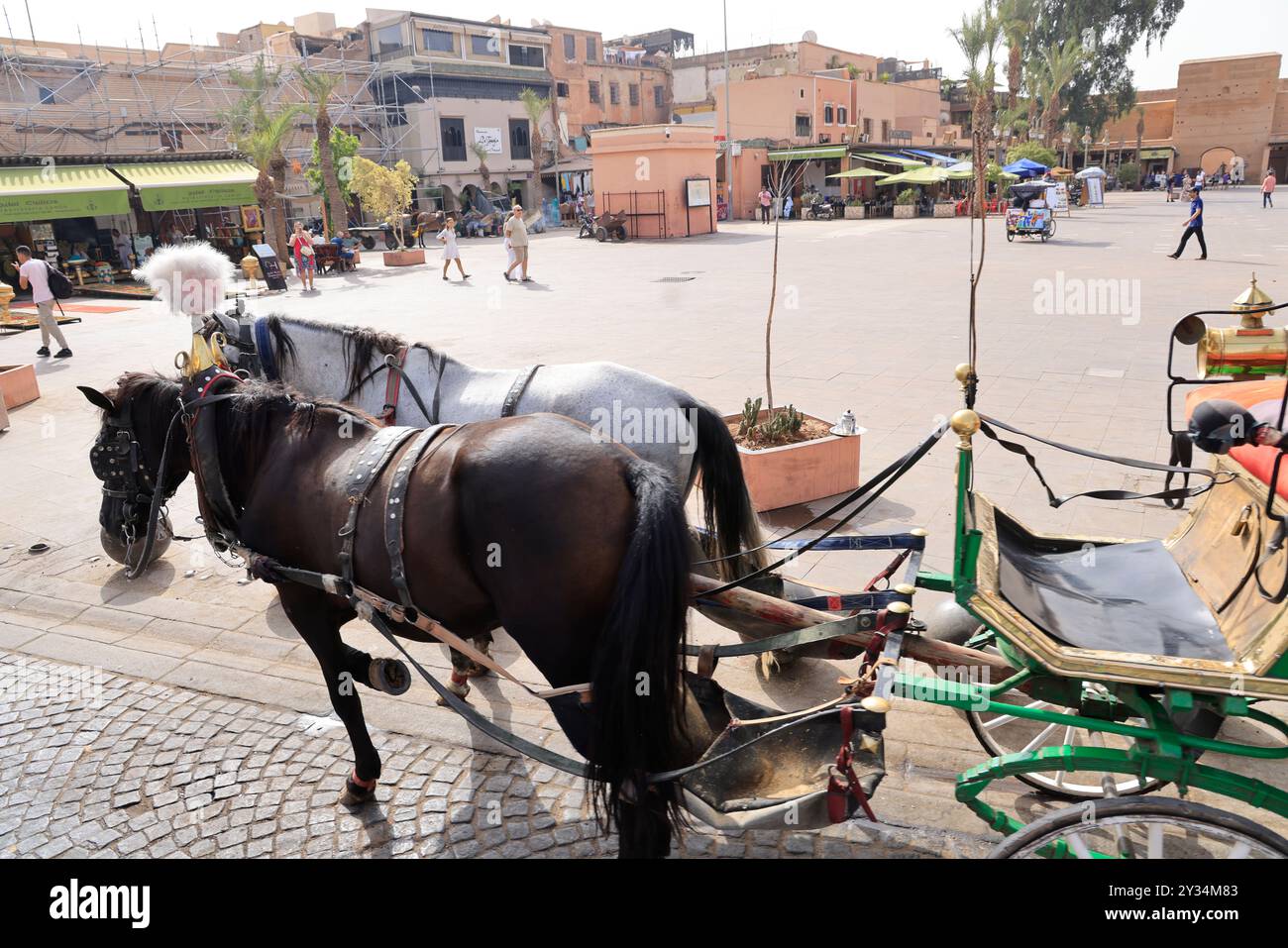 Horse-drawn carriages are used to tour the city of Marrakech, a tourist ...