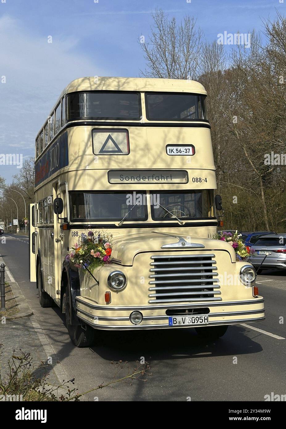 Retro double-decker bus in beige on a street decorated with flowers ...