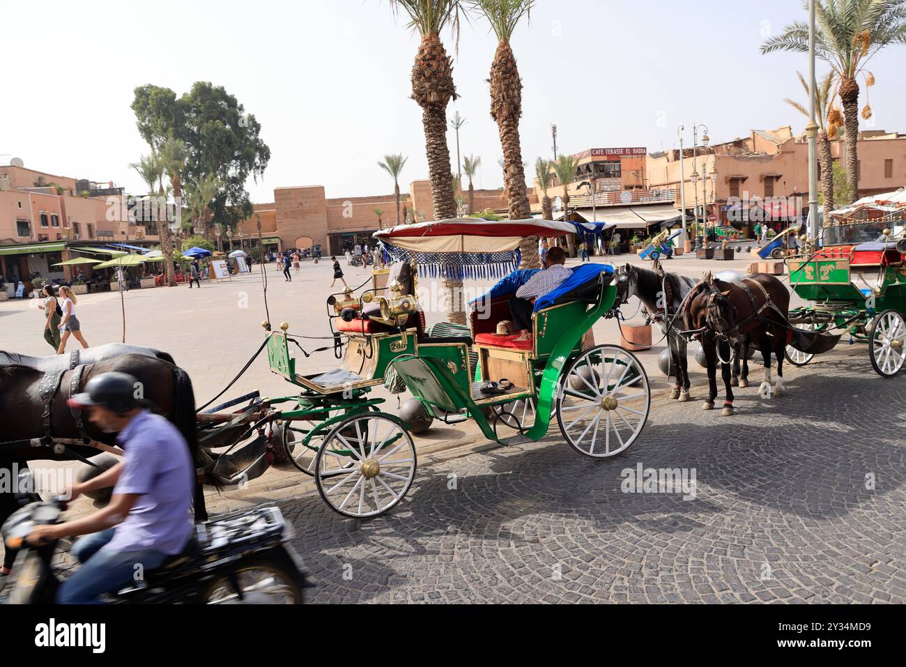 Horse-drawn carriages are used to tour the city of Marrakech, a tourist ...