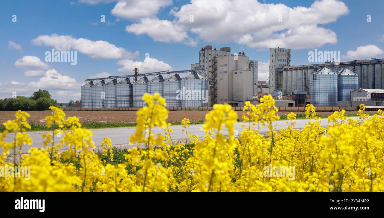 large grain elevator with multiple cylindrical metal silos, structural ...