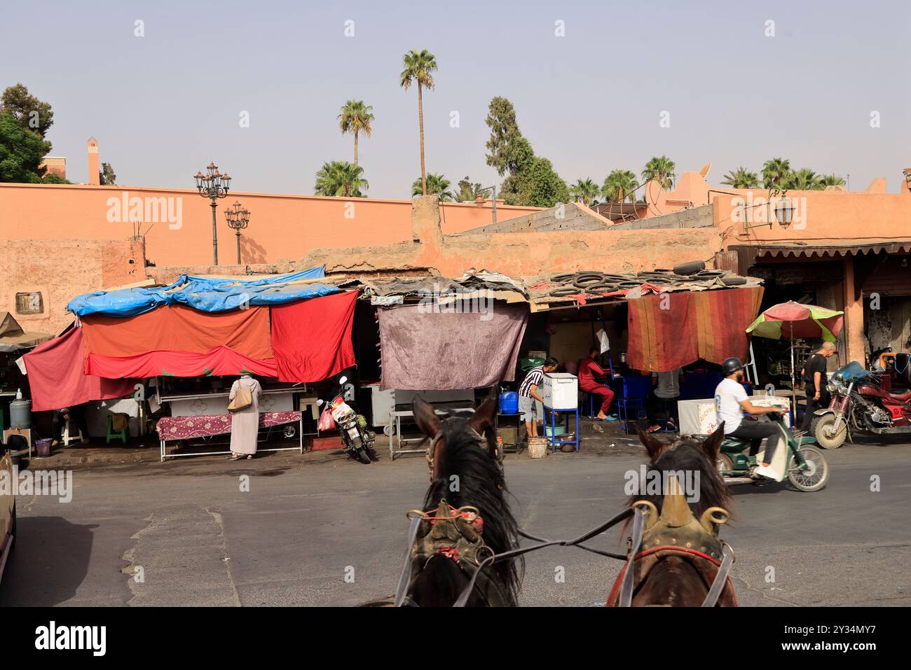 Horse-drawn carriages are used to tour the city of Marrakech, a tourist ...