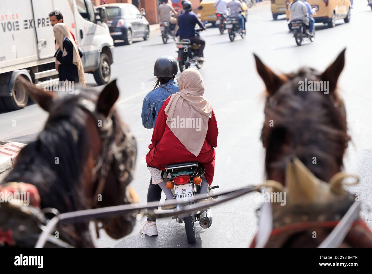 Horse-drawn carriages are used to tour the city of Marrakech, a tourist ...