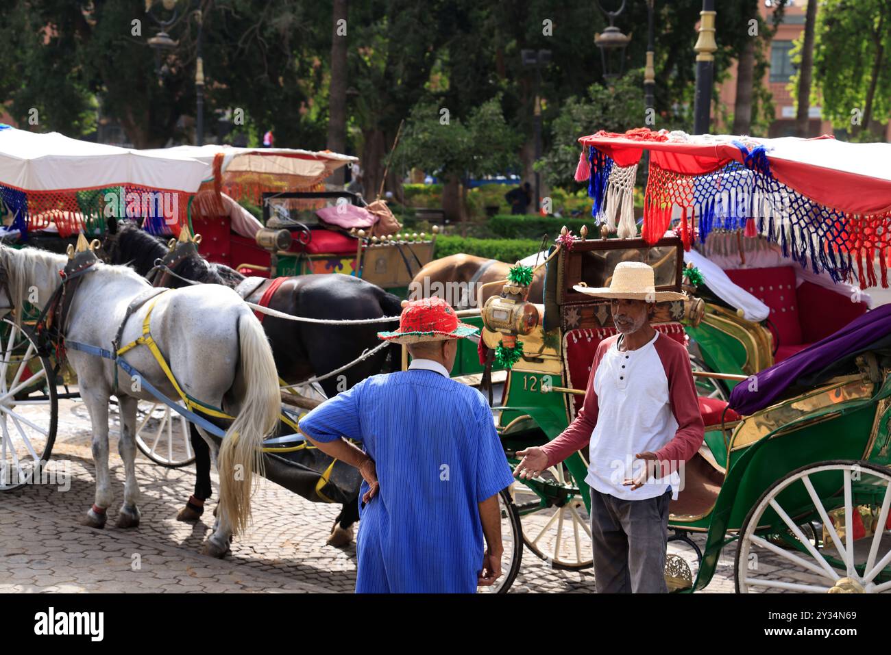 Horse-drawn carriages are used to tour the city of Marrakech, a tourist ...