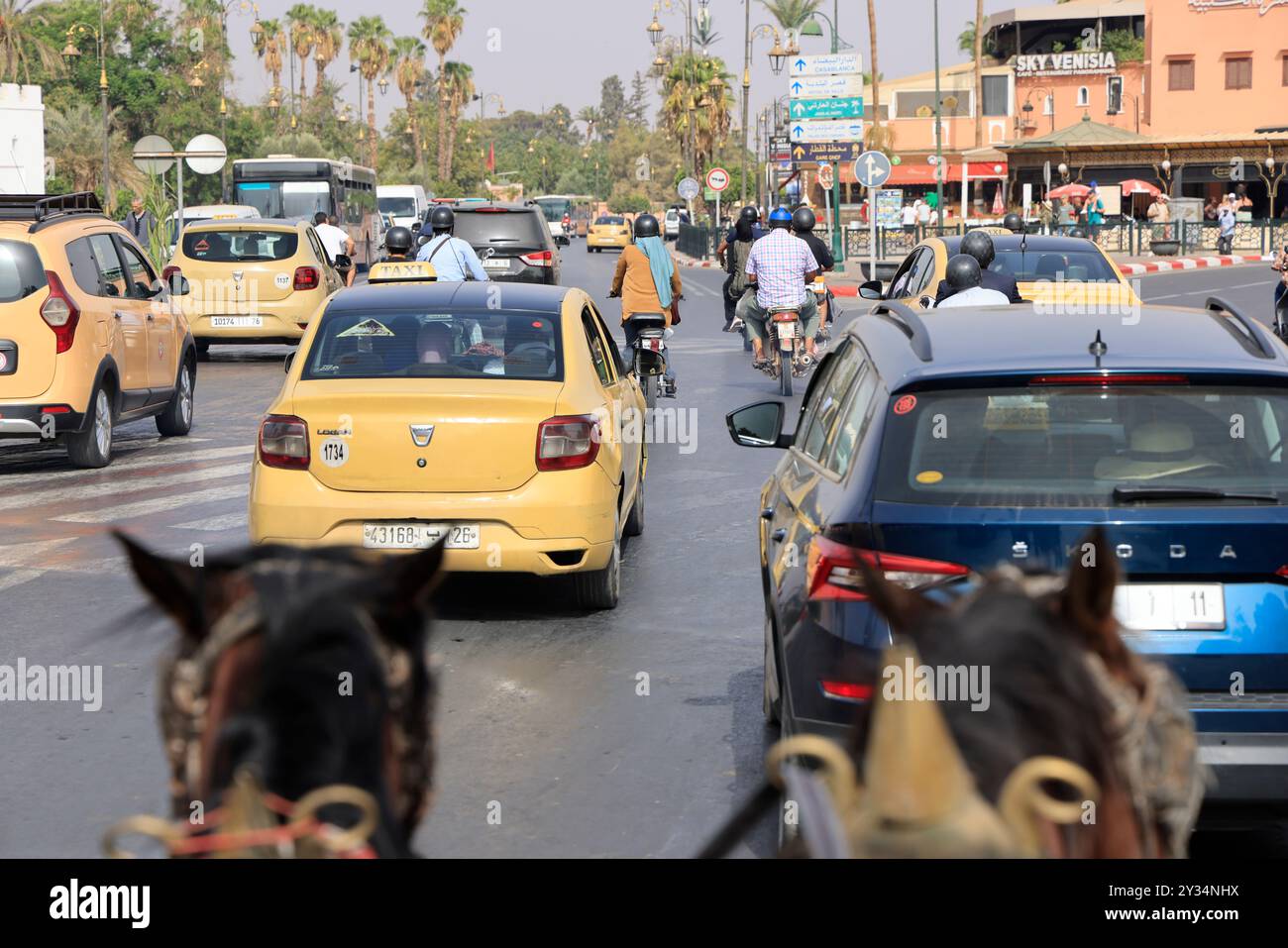 Horse-drawn carriages are used to tour the city of Marrakech, a tourist ...