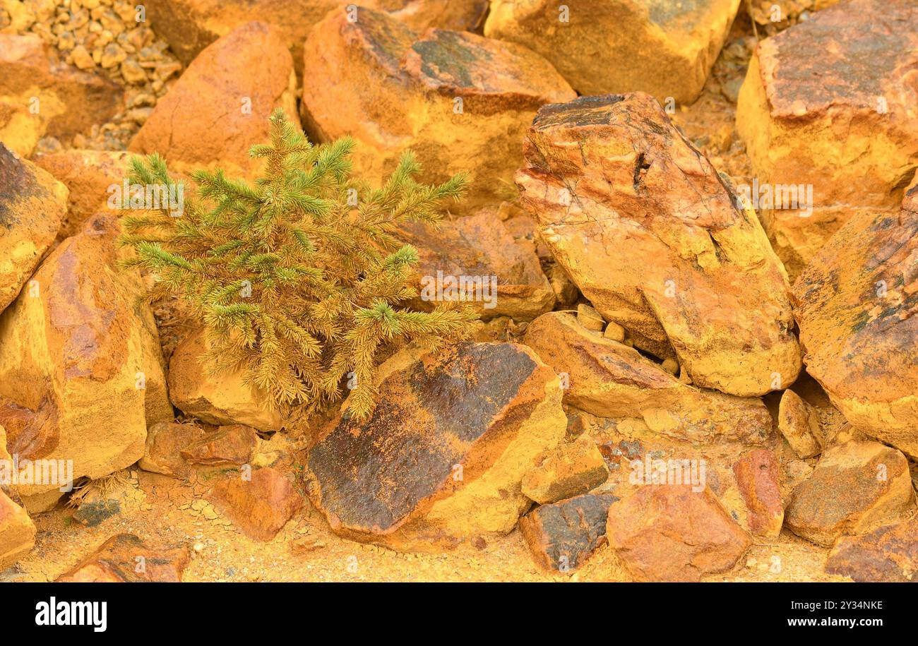 Toxic runoff leaching from piles of ore discarded decades ago is seen ...
