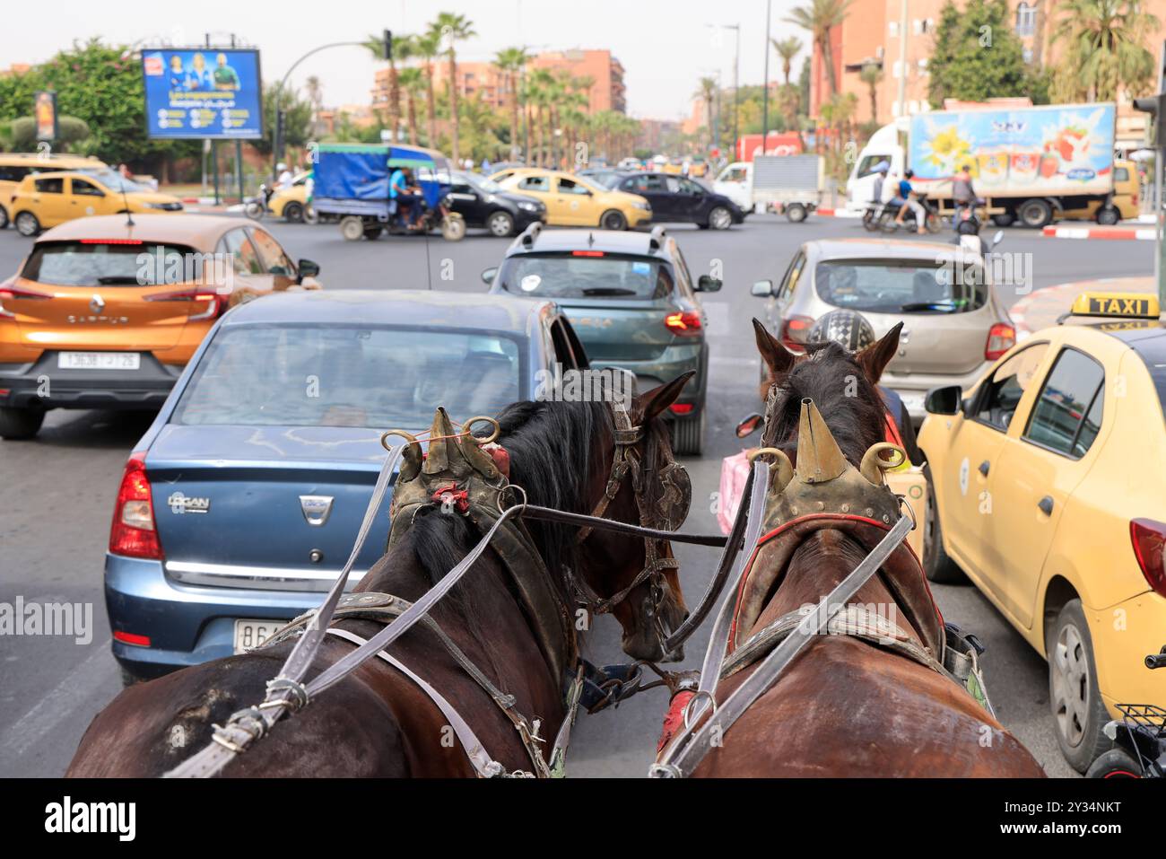 Horse-drawn carriages are used to tour the city of Marrakech, a tourist ...