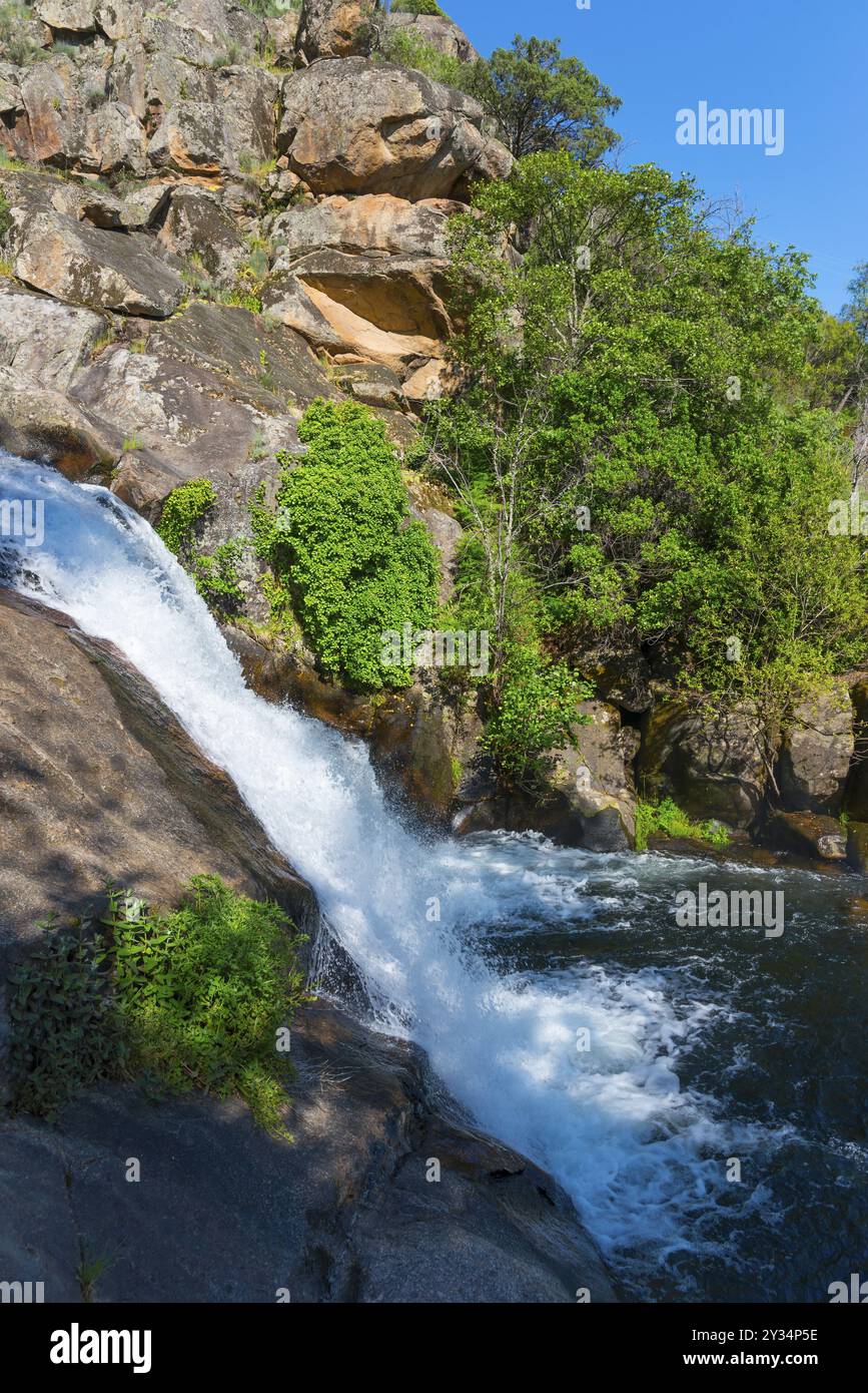 A small waterfall flowing over rocks, surrounded by green plants in a ...