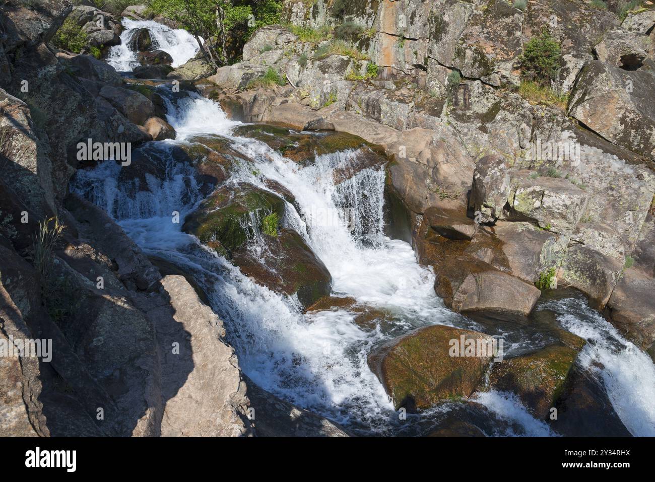 Thundering waterfall over rocks in a quiet forest, clear flowing water ...