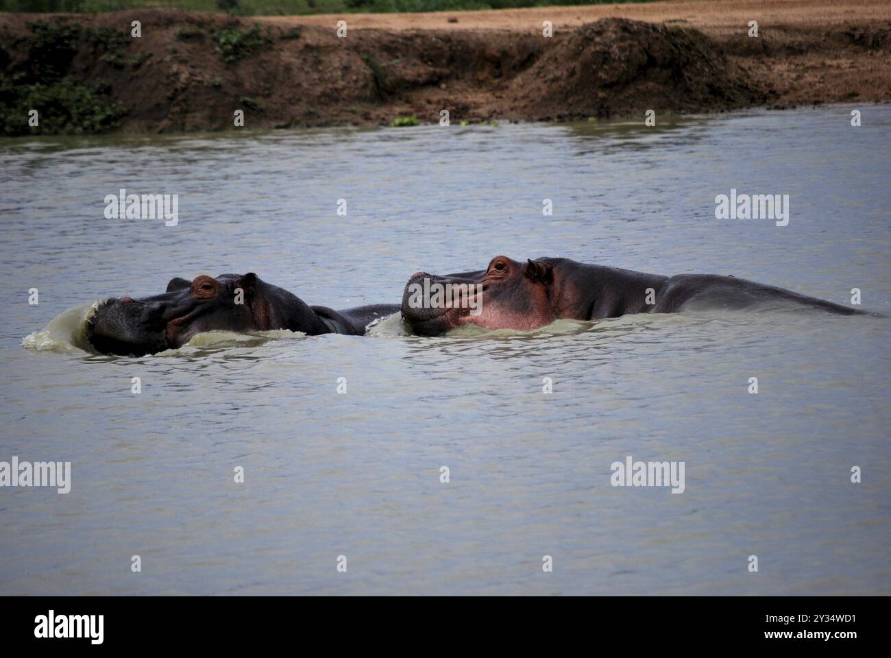 Water in a park hi-res stock photography and images - Alamy