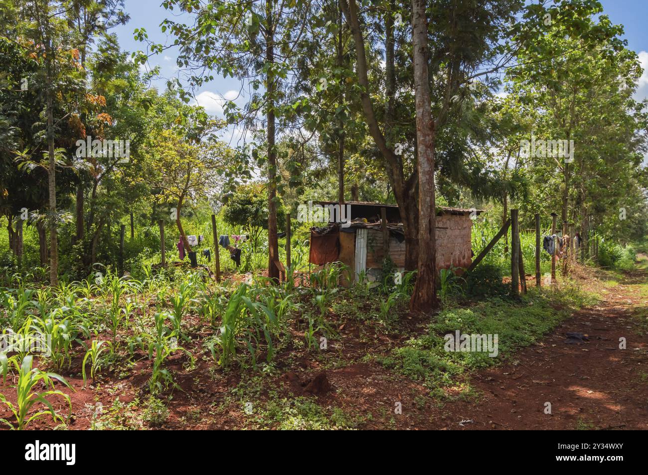 House in rural Kenya, Africa. A house in rural Kenya, Africa. A very ...