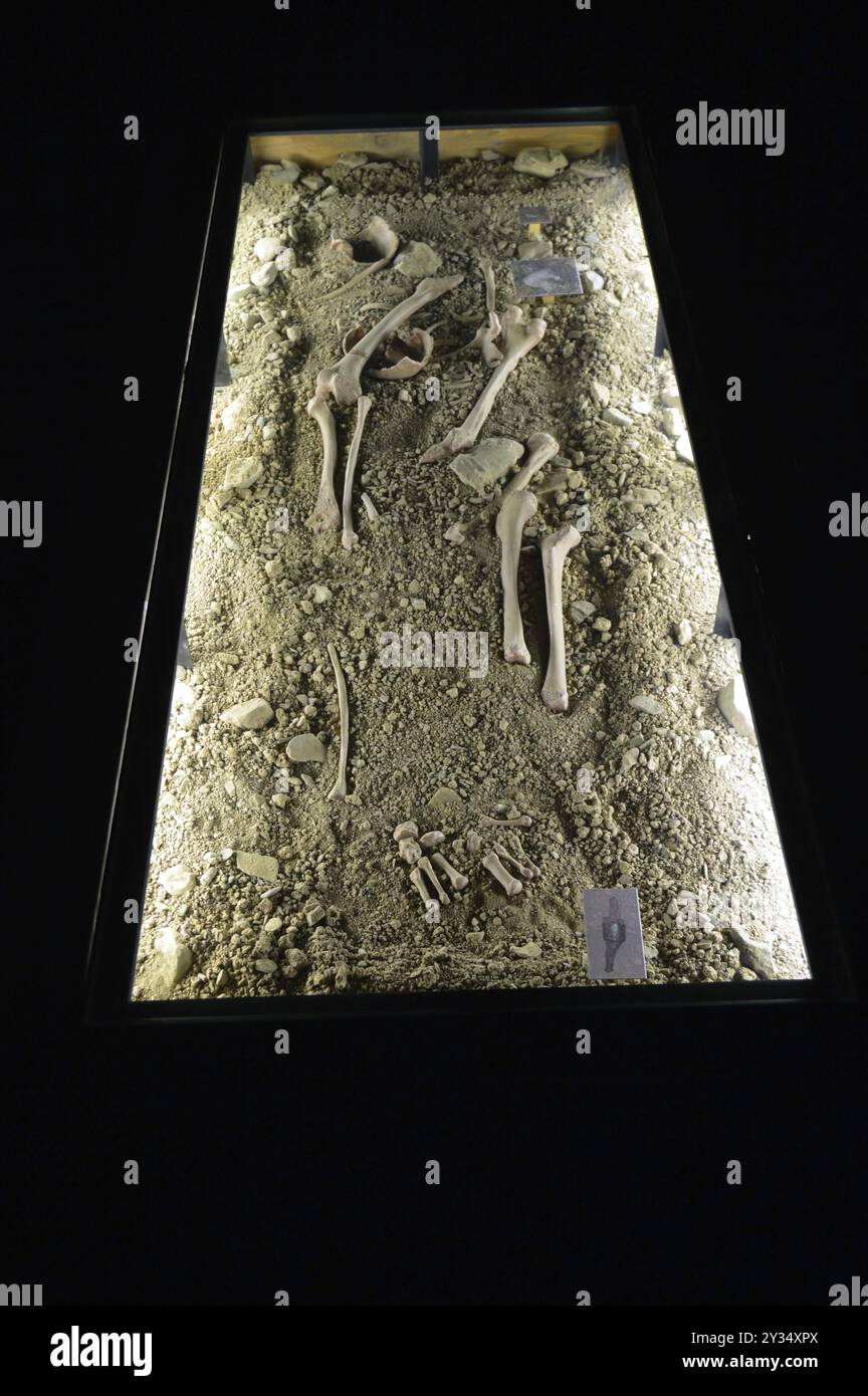 Lean and dried bones of a dead body in a grave Stock Photo - Alamy