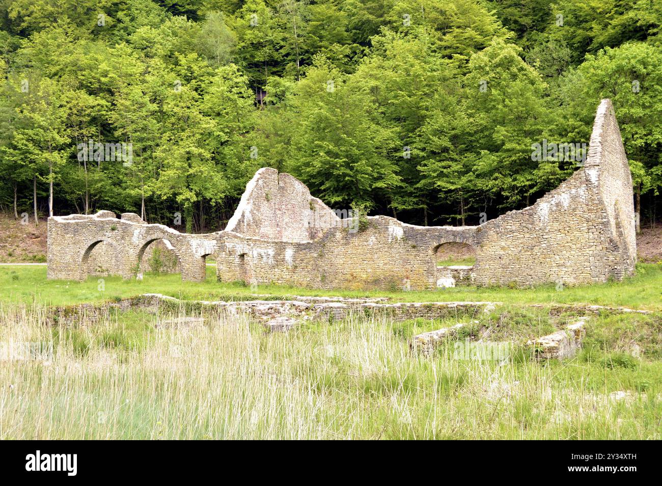 Ruined buildings in forest hi-res stock photography and images - Alamy