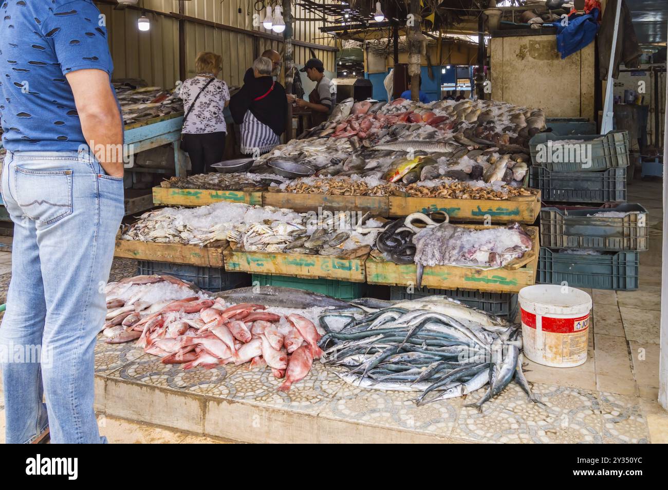 Display of different fishes fishing in the Red Sea on the walk of the ...