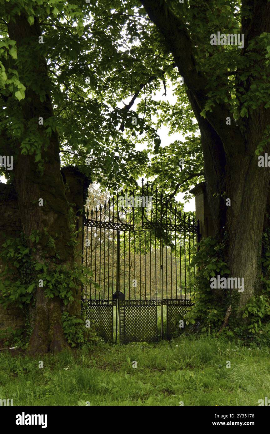 Old iron railing to forge of color noir.entre two old oak Stock Photo ...