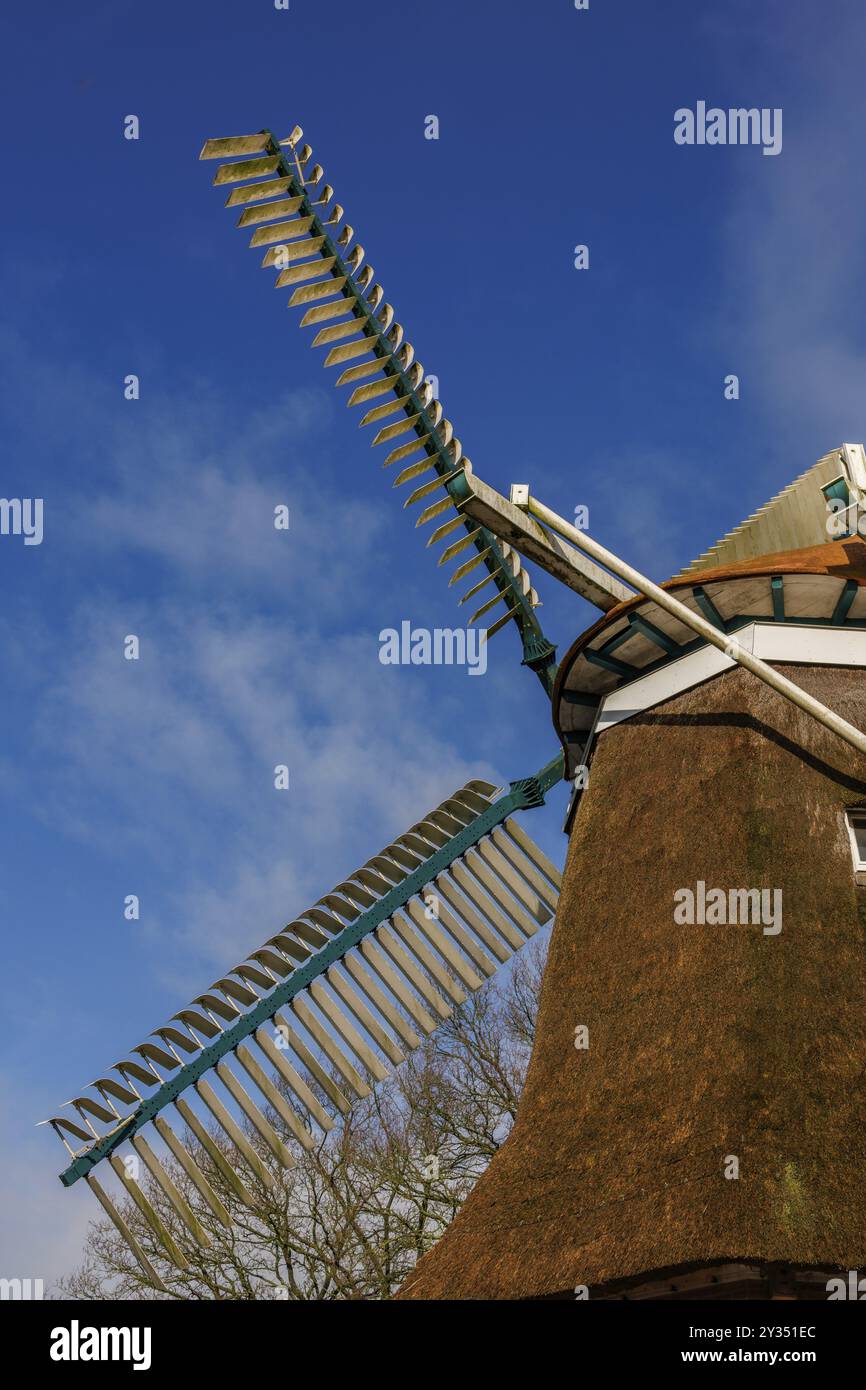 Windmill with large rotor blades and thatched roof in front of a blue ...