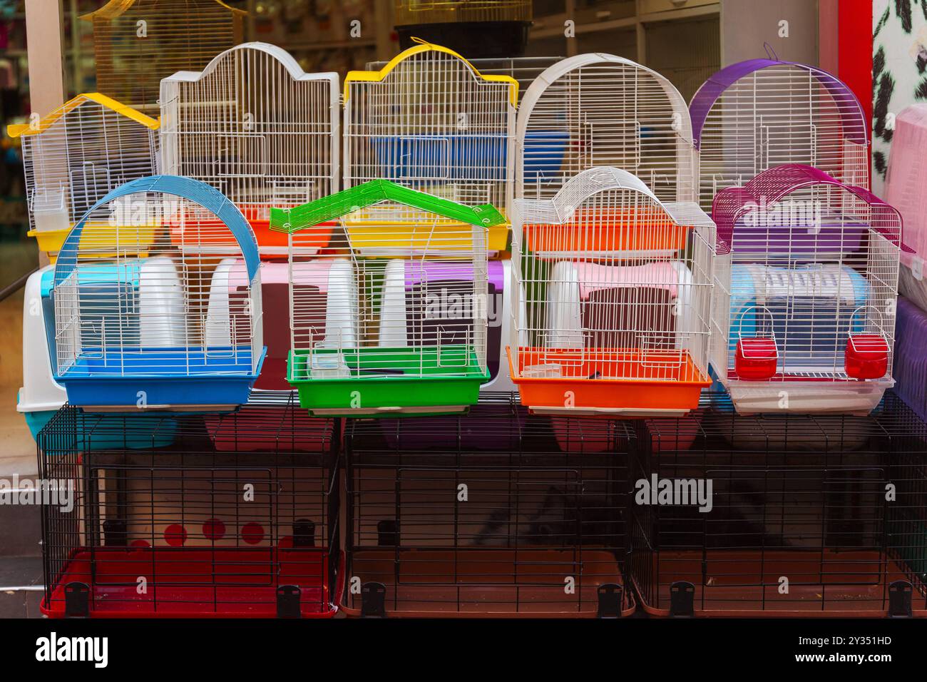 colorful cages for birds and parrots in pet shop Stock Photo - Alamy