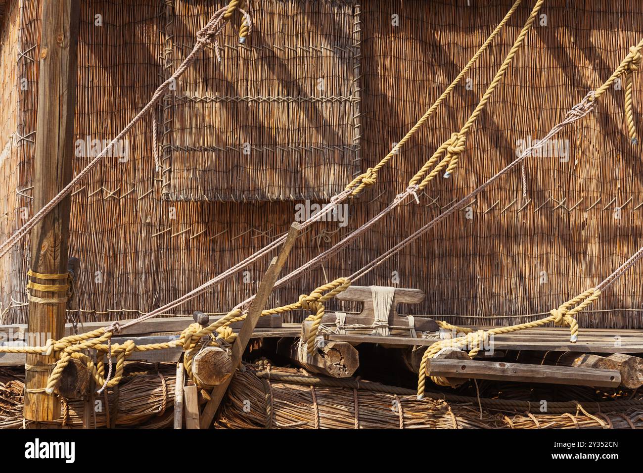 Jute rope tree hi-res stock photography and images - Alamy