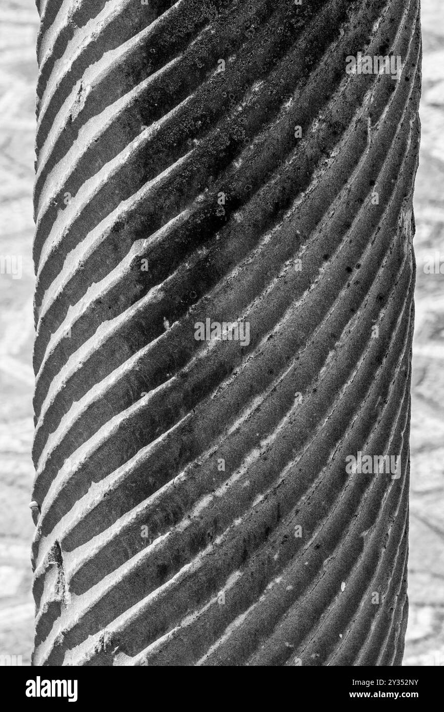 Grayscale Ancient Column: Pattern and Texture with Light and Shadow ...