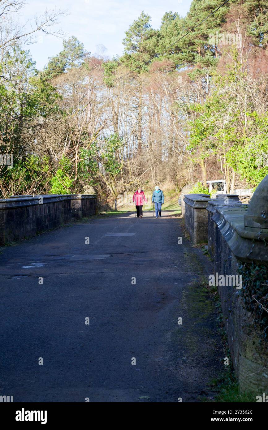 Dog deaths hi-res stock photography and images - Alamy