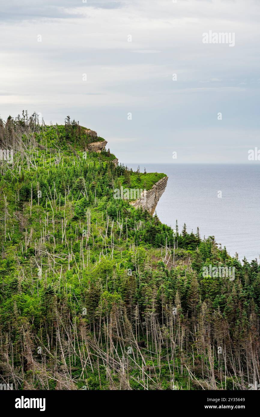 Forillon National Park, Canada Stock Photo - Alamy
