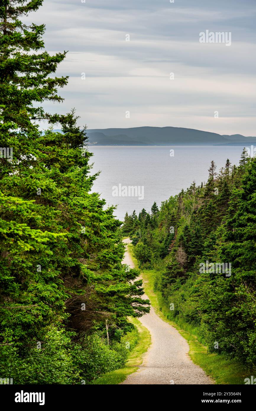 Forillon national park gaspesie hi-res stock photography and images - Alamy