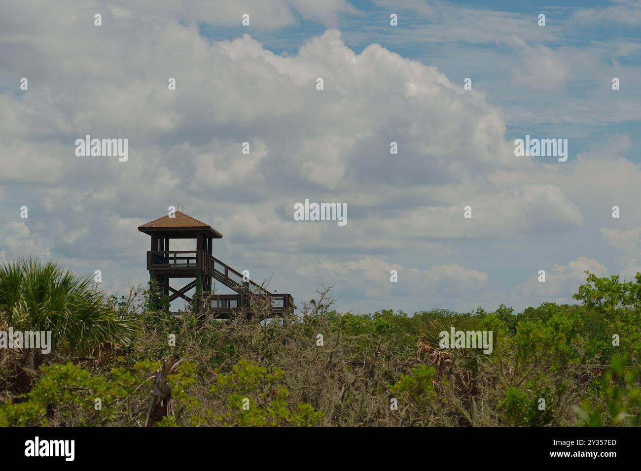 Sky tower outdoor observation deck hi-res stock photography and images ...