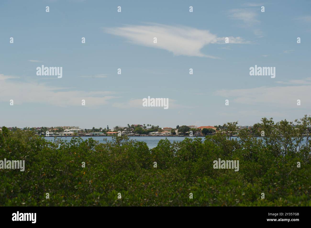 High Wide view over green trees in front from observation tower towards Boca Ciega Bay. Bright ...