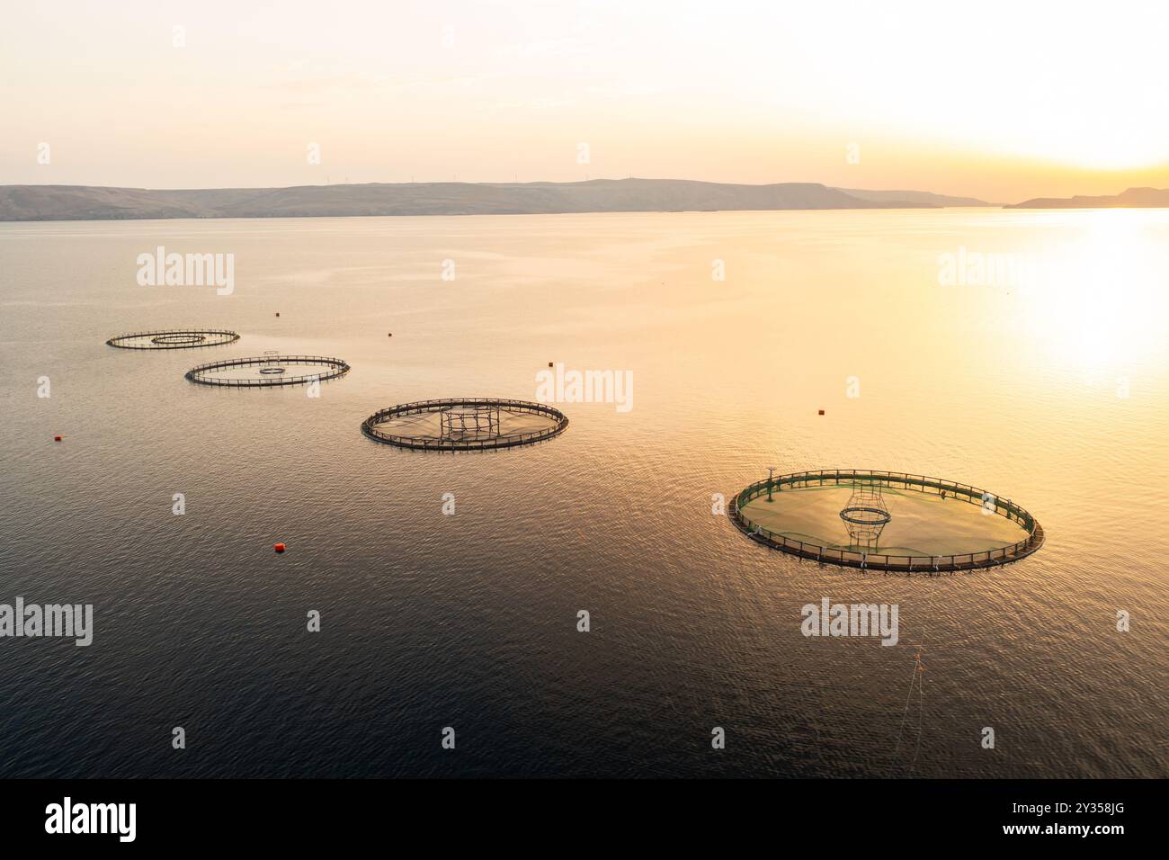 Fish breeding cages in Croatian sea farm against sunset. Round net ...