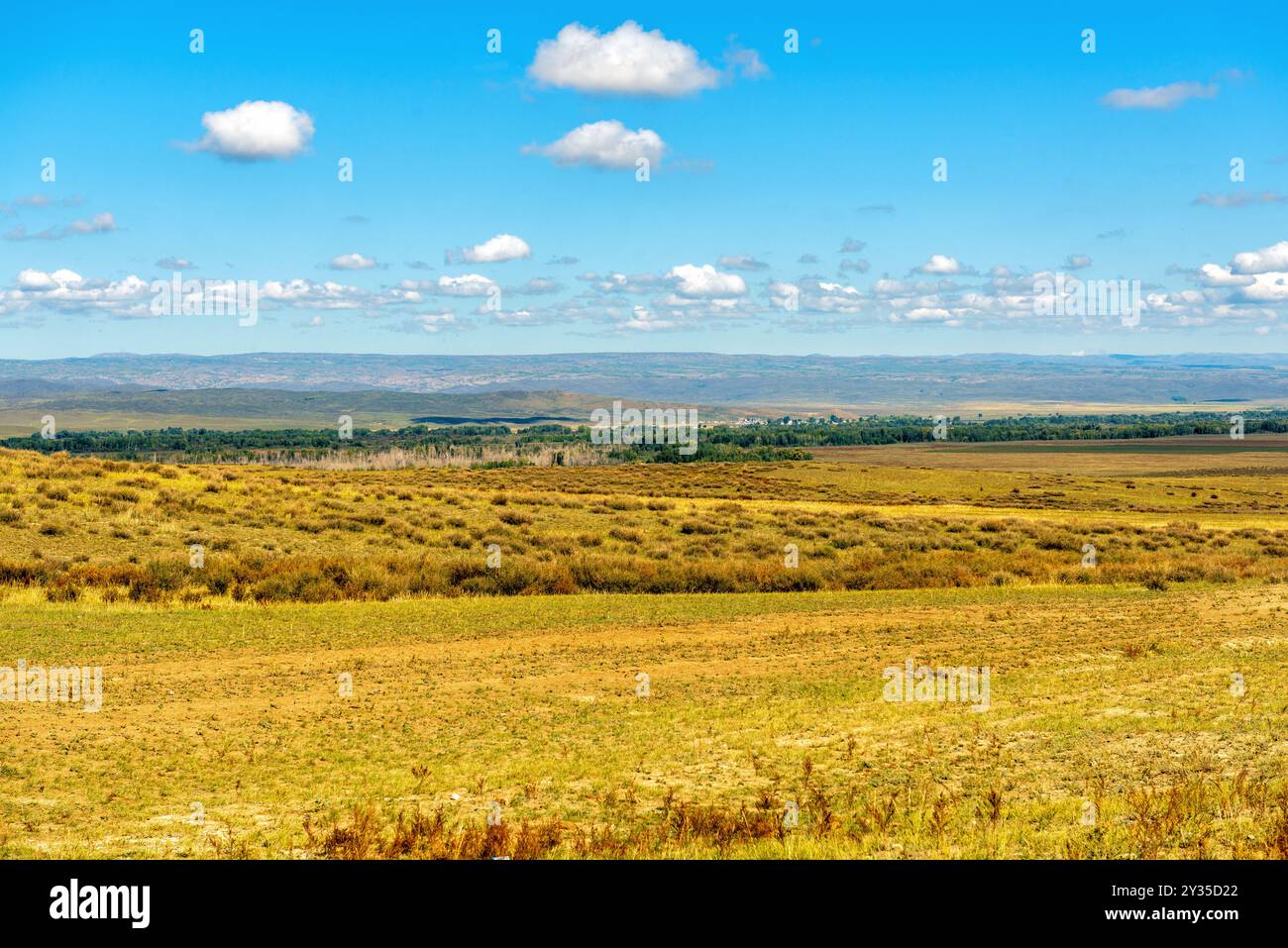 Semi natural vegetation hi-res stock photography and images - Alamy