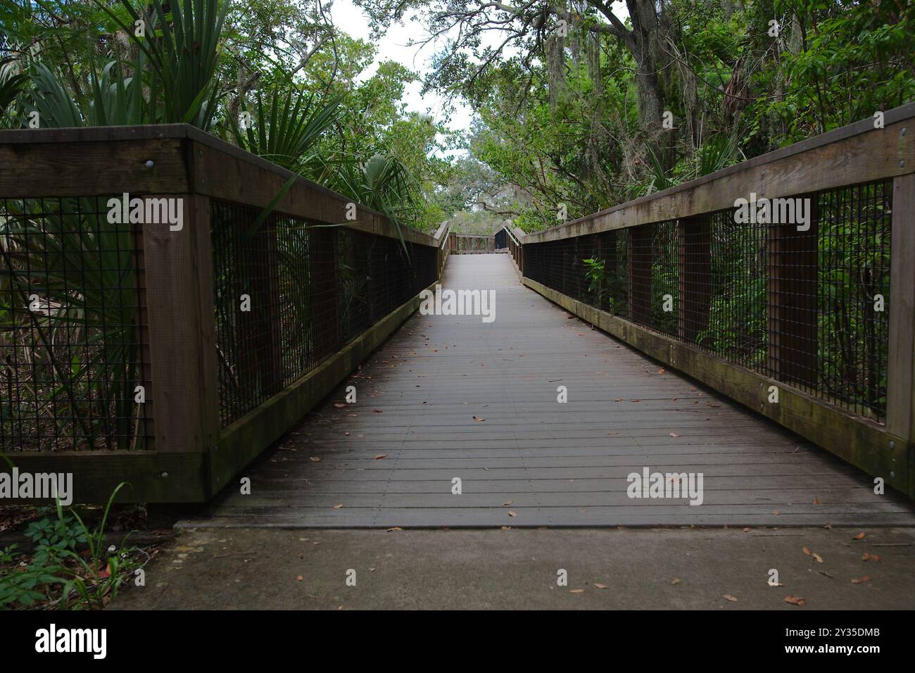 Nature landscape on boardwalk hi-res stock photography and images - Alamy