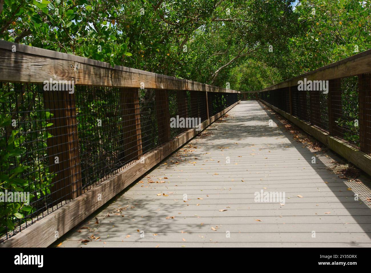 Leading lines on a nature trail hi-res stock photography and images - Alamy