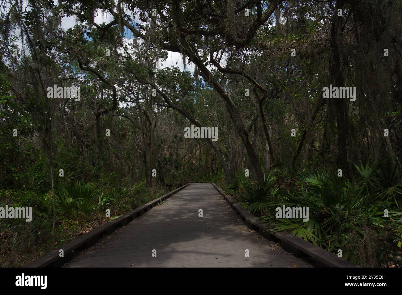 Leading lines on a nature trail hi-res stock photography and images - Alamy