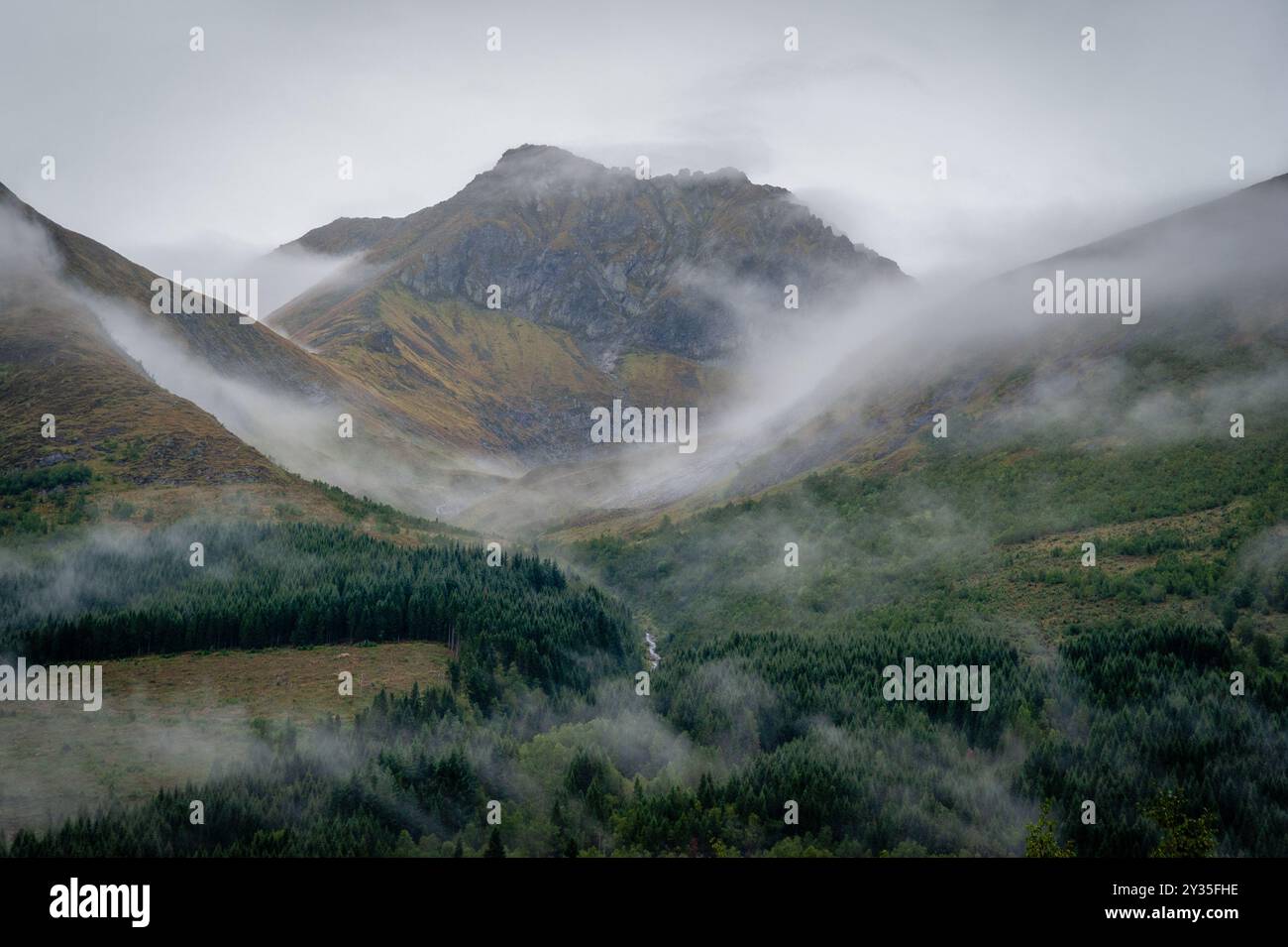 Serene landscape emerge hi-res stock photography and images - Alamy